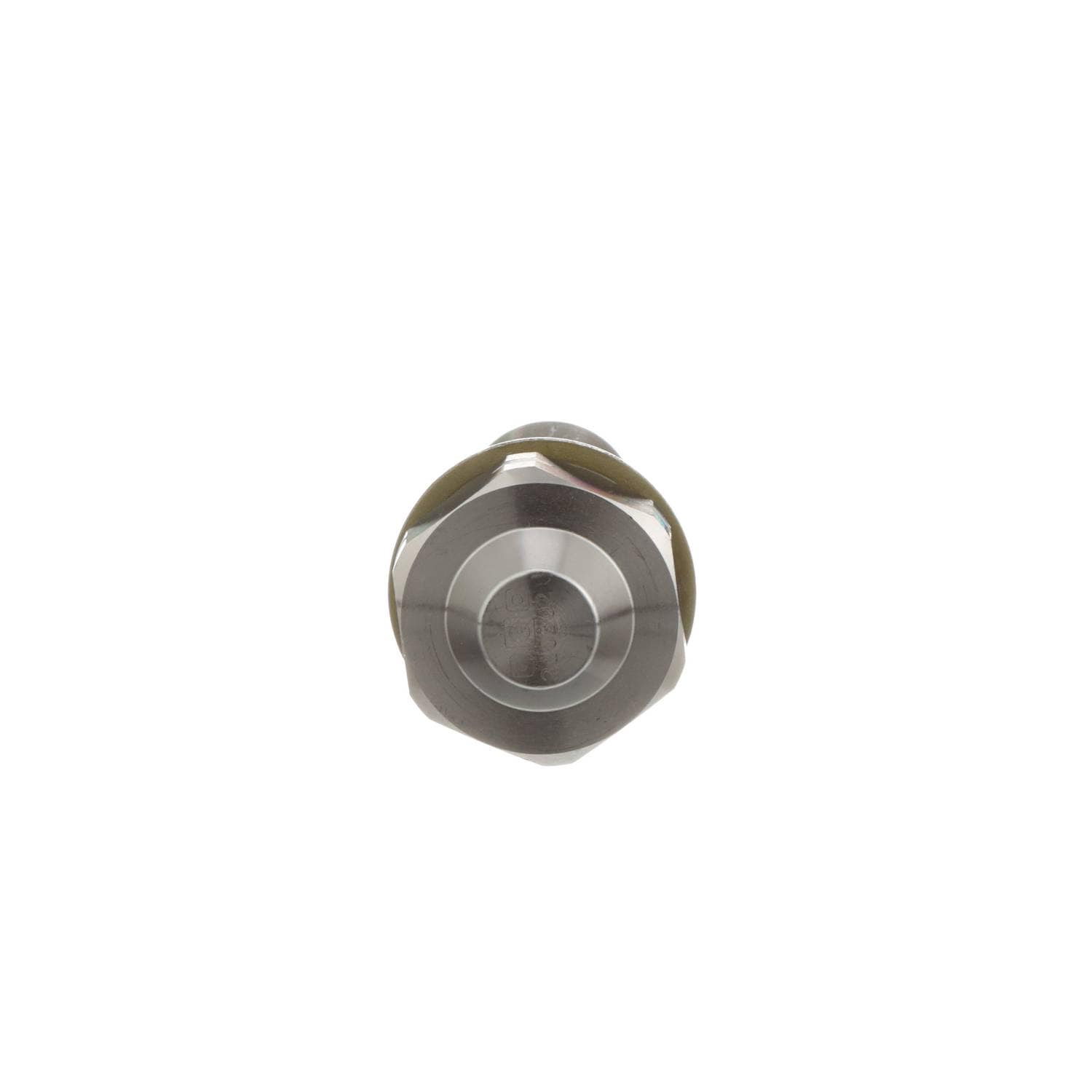 Cloyes Timing Chain Tensioner 95481 | O'Reilly Auto Parts Cloyes Timing Chain Tensioner 95481 | O'Reilly Auto Parts