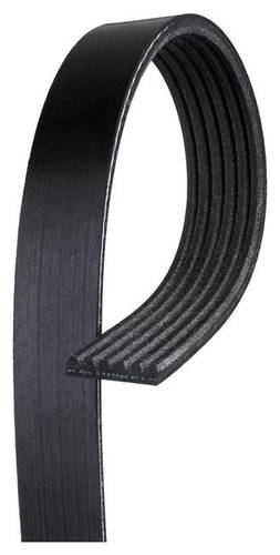 ACDelco Serpentine Belt 6 Rib 61-5/16 Inch 55580052 | O'Reilly Auto Pa