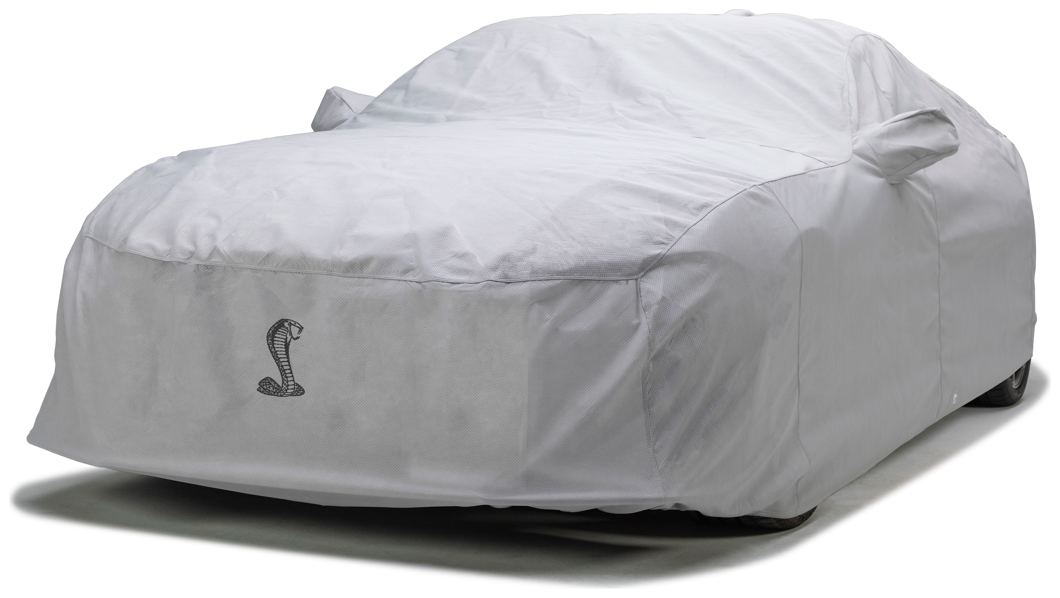 Car cover oreillys store