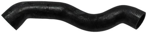 Rein Automotive Radiator Hose CHR0368R | O'Reilly Auto Parts