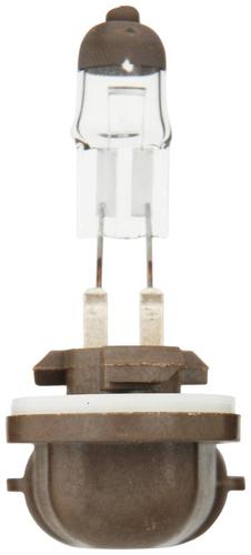 Sylvania 896 Basic Halogen Fog Light Bulb (Pack of 1) 35461 | O'Reilly